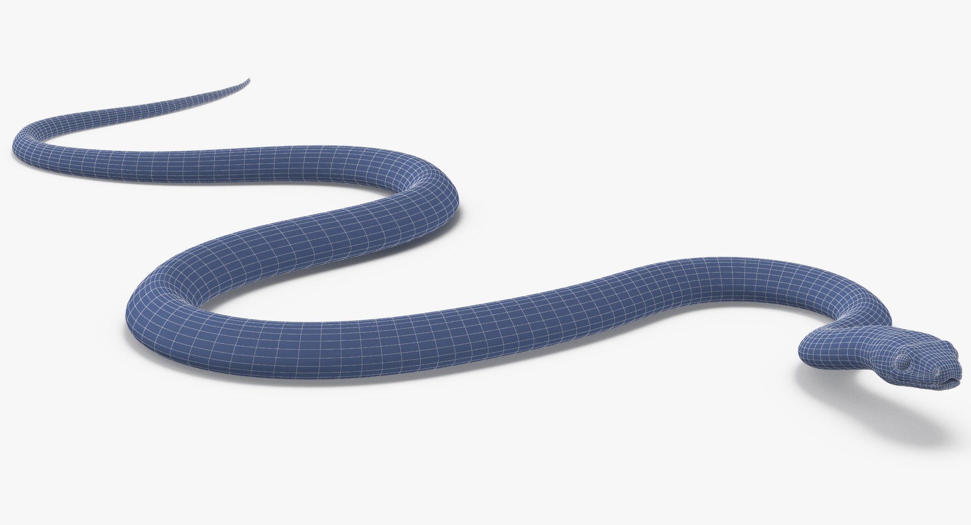 3d model black snake poses