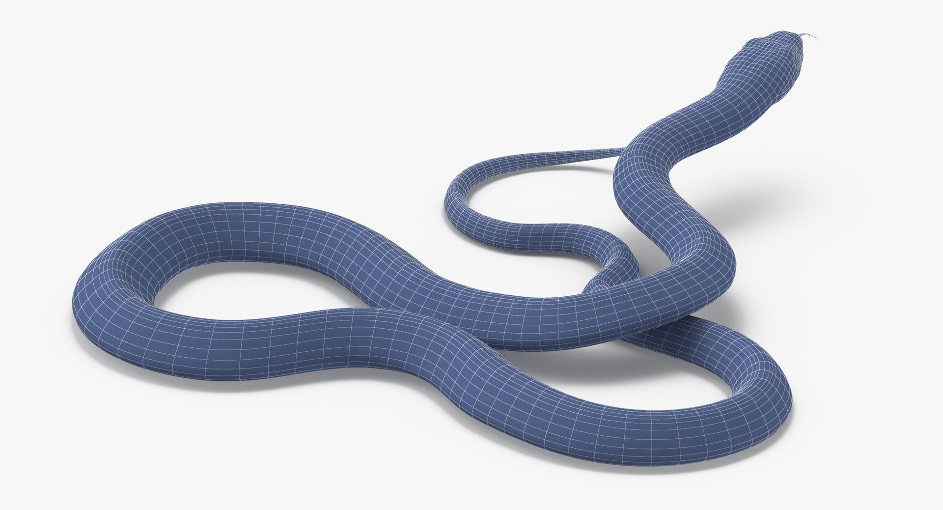 3d model black snake poses