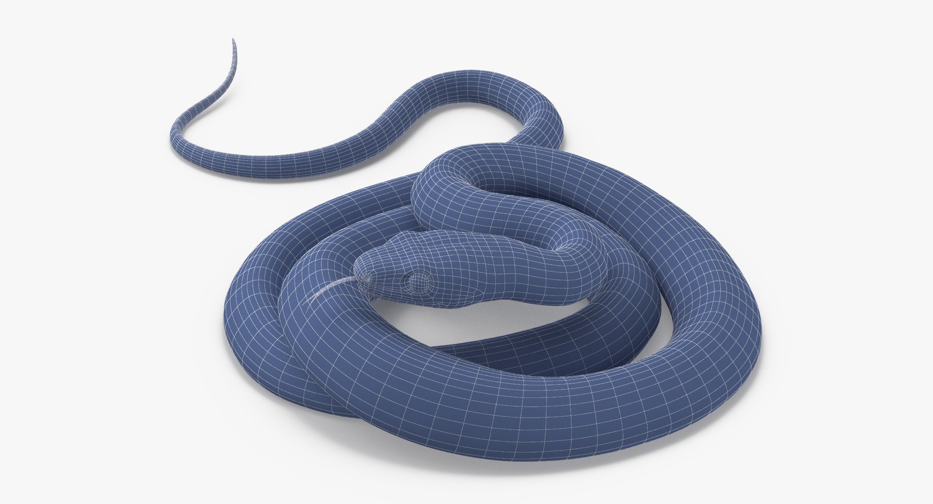 3d model black snake poses