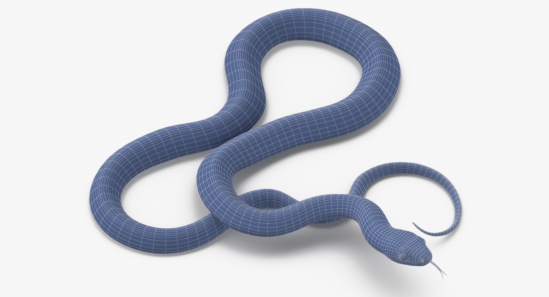 3d model black snake poses