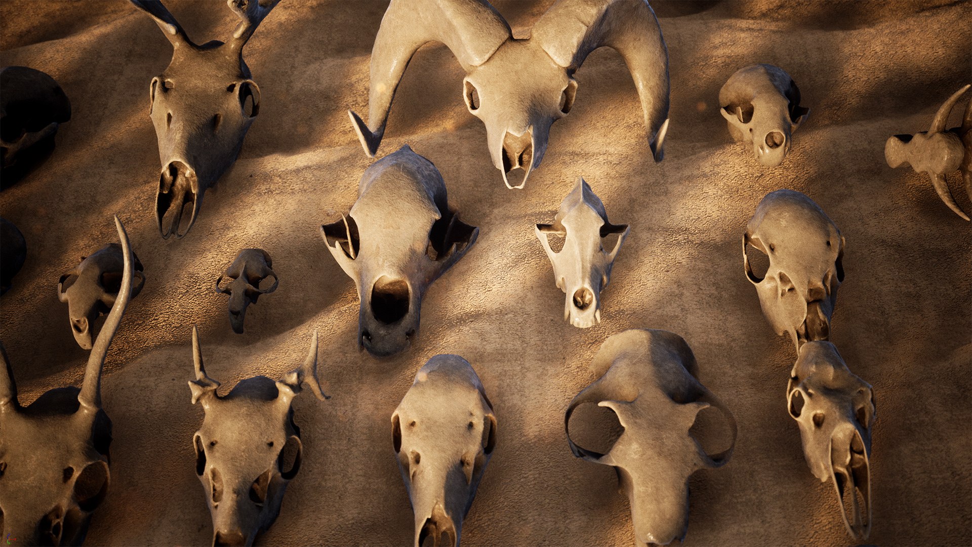 3D Animal Skeletons 46 Assets Model - TurboSquid 2109233