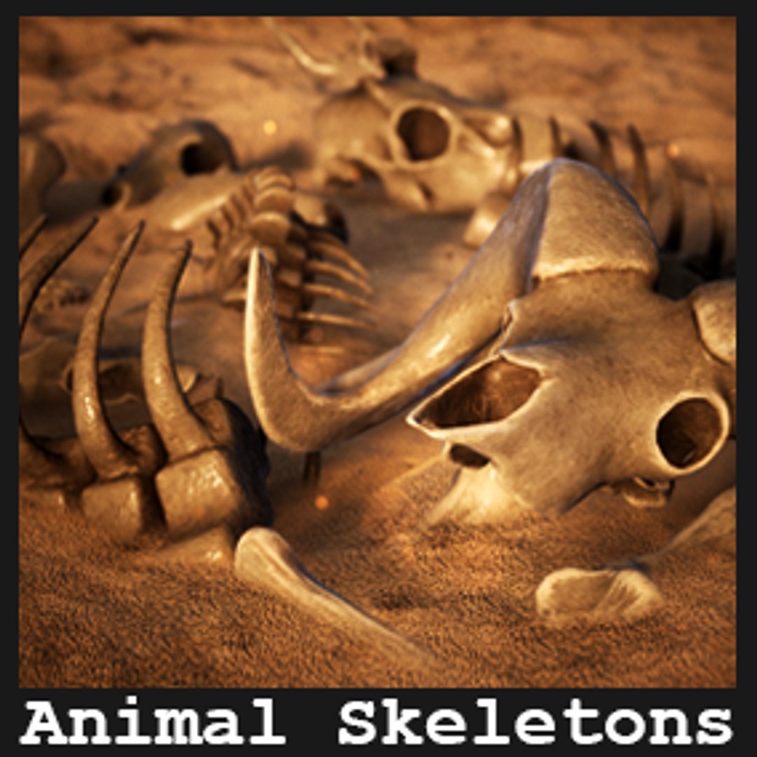 3D Animal Skeletons 46 Assets model - TurboSquid 2109233