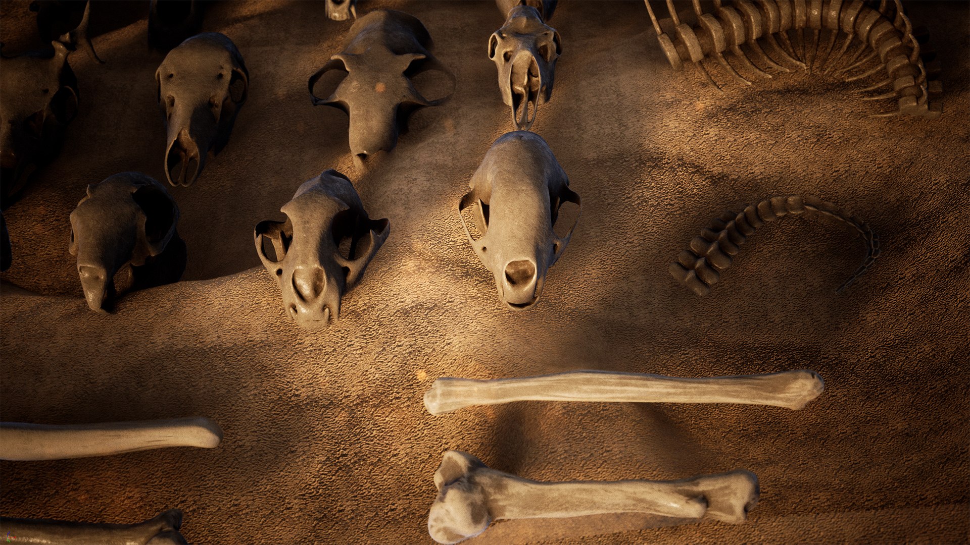 3D Animal Skeletons 46 Assets model - TurboSquid 2109233