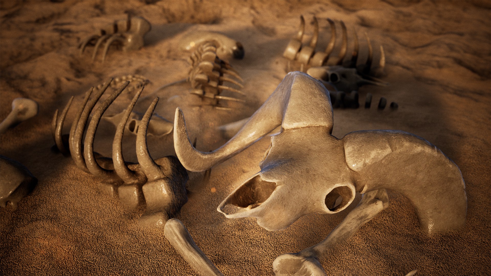 3D Animal Skeletons 46 Assets model - TurboSquid 2109233