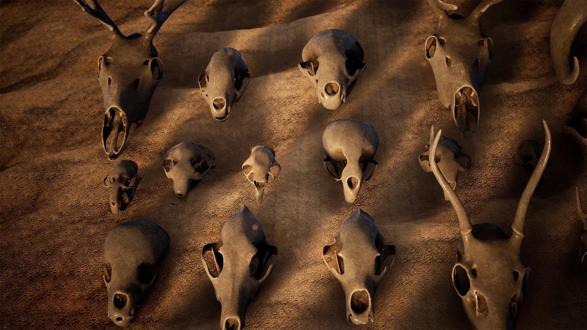 3D Animal Skeletons 46 Assets model - TurboSquid 2109233