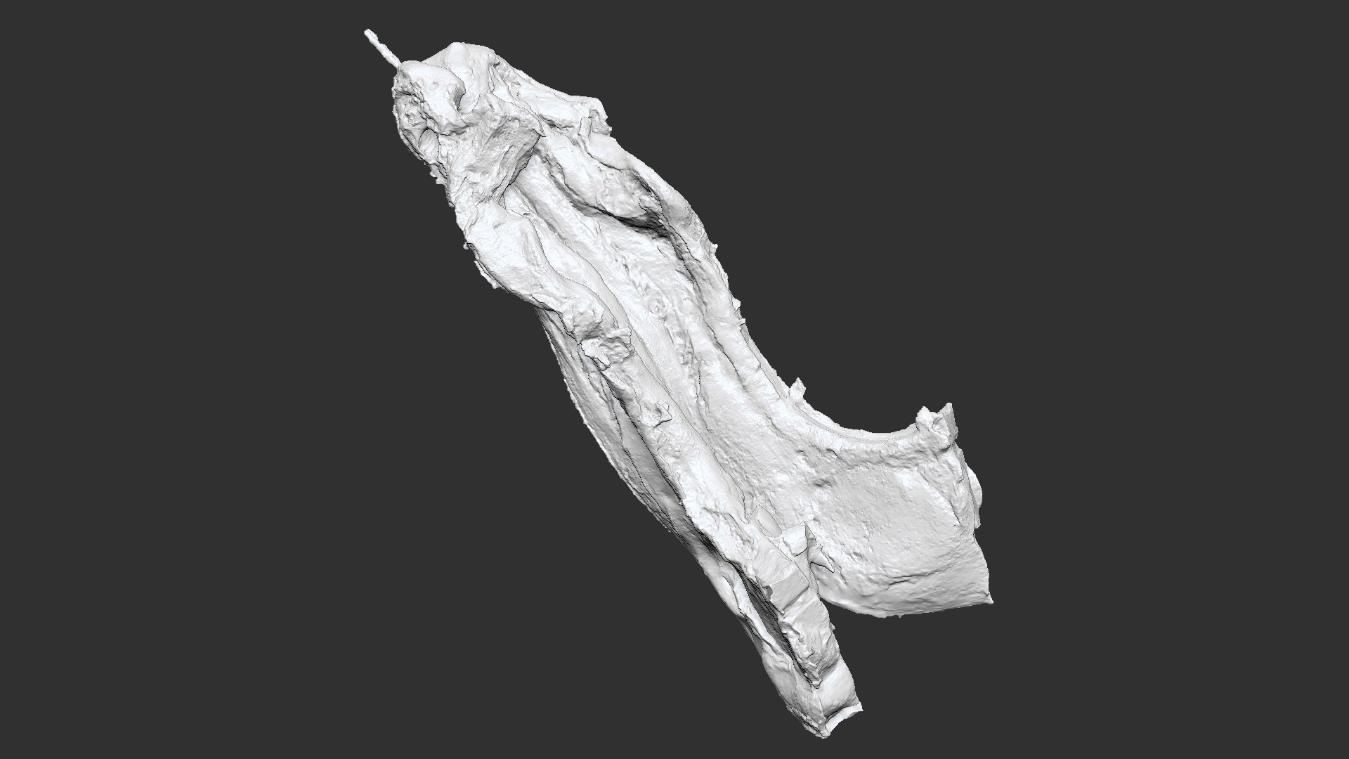 3D Model Hanging Pork 3d Scan - TurboSquid 2001055