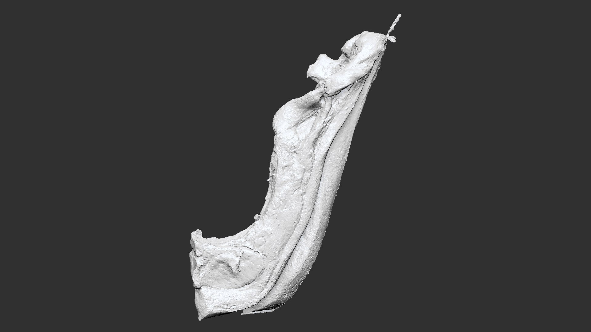 3D Model Hanging Pork 3d Scan - TurboSquid 2001055