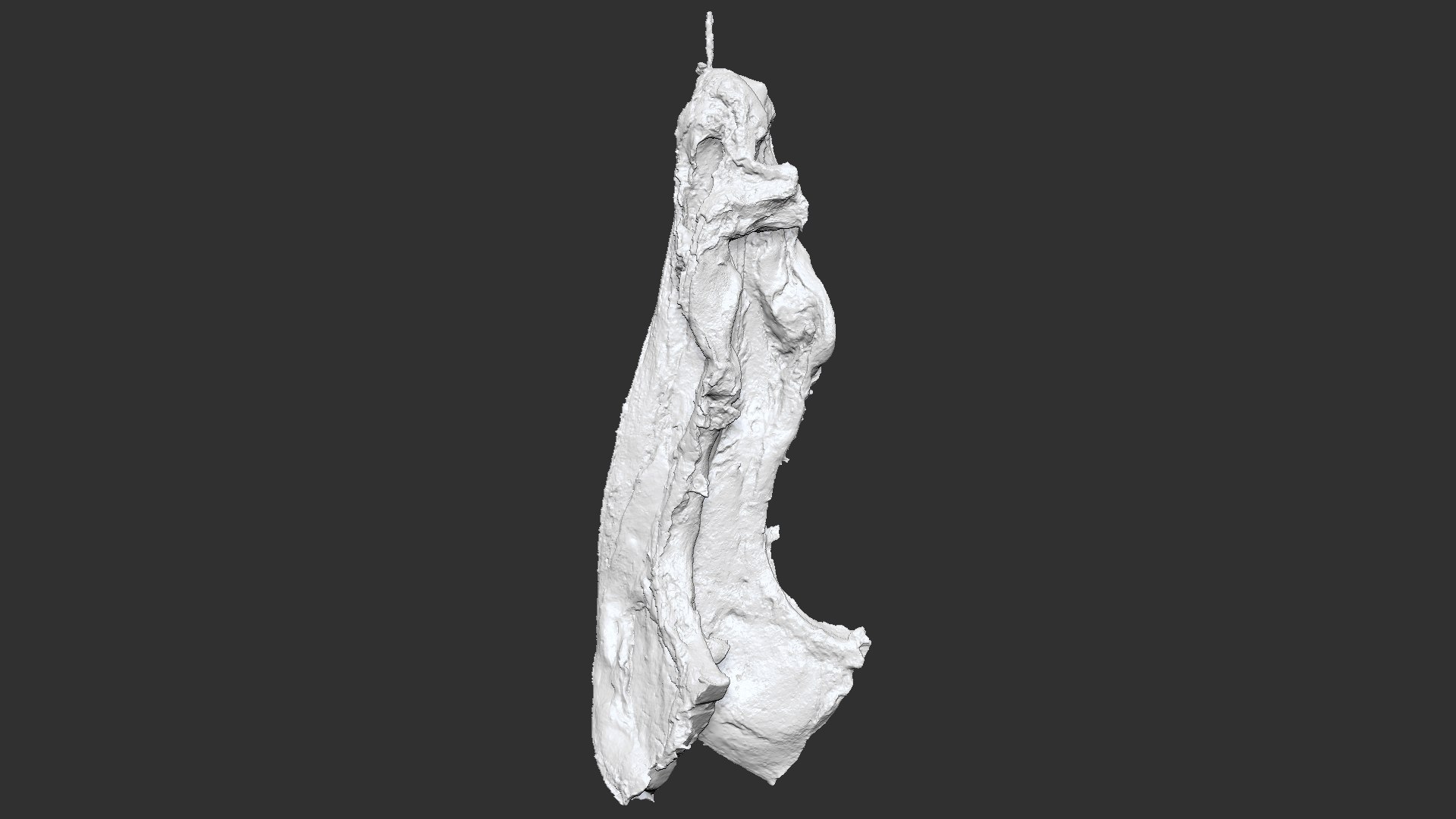 3D Model Hanging Pork 3d Scan - TurboSquid 2001055