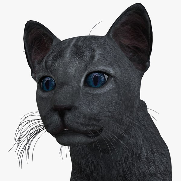 CAT-002所定の位置を歩く3Dモデル - TurboSquid 1839552