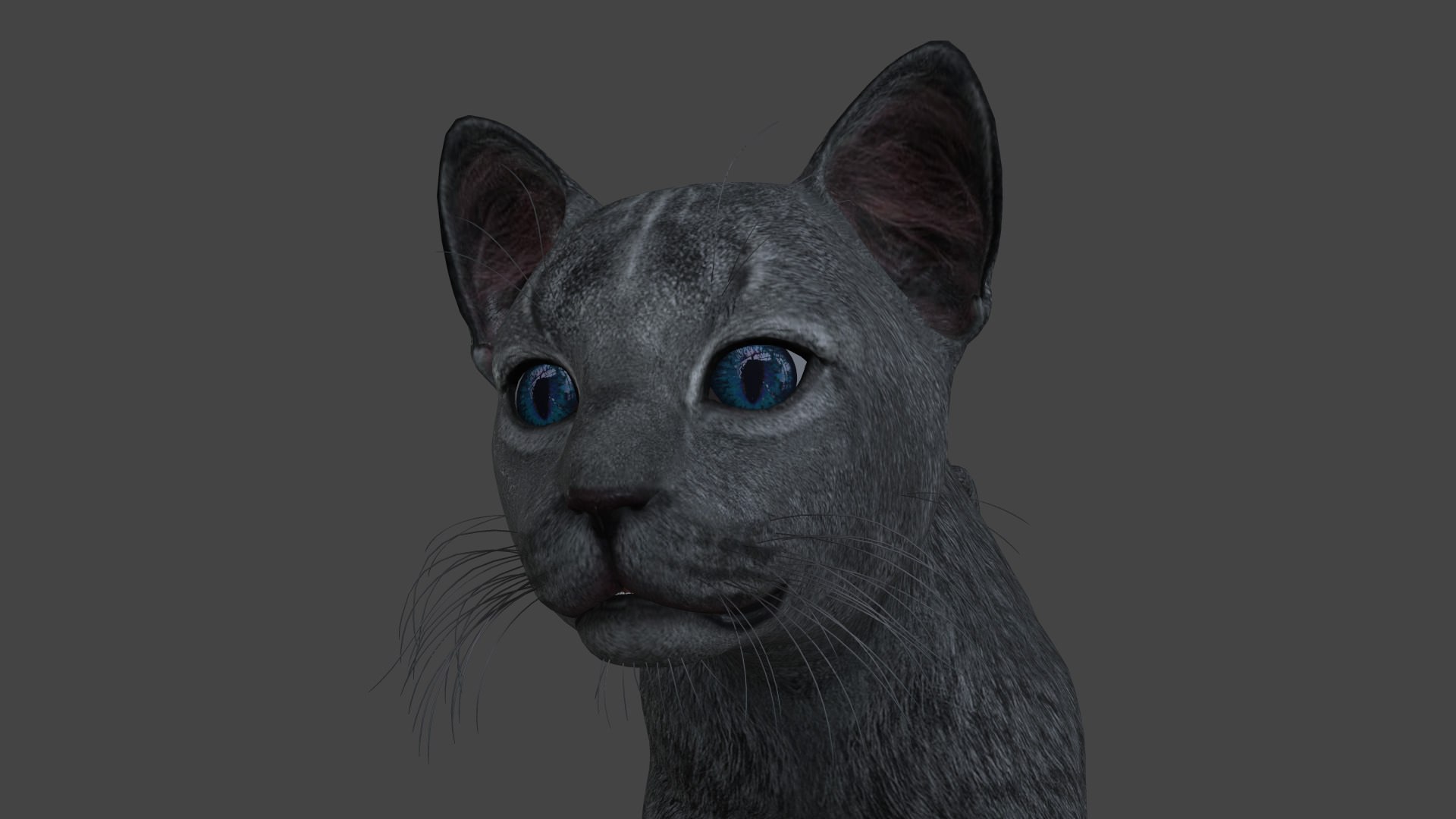 CAT-002所定の位置を歩く3Dモデル - TurboSquid 1839552