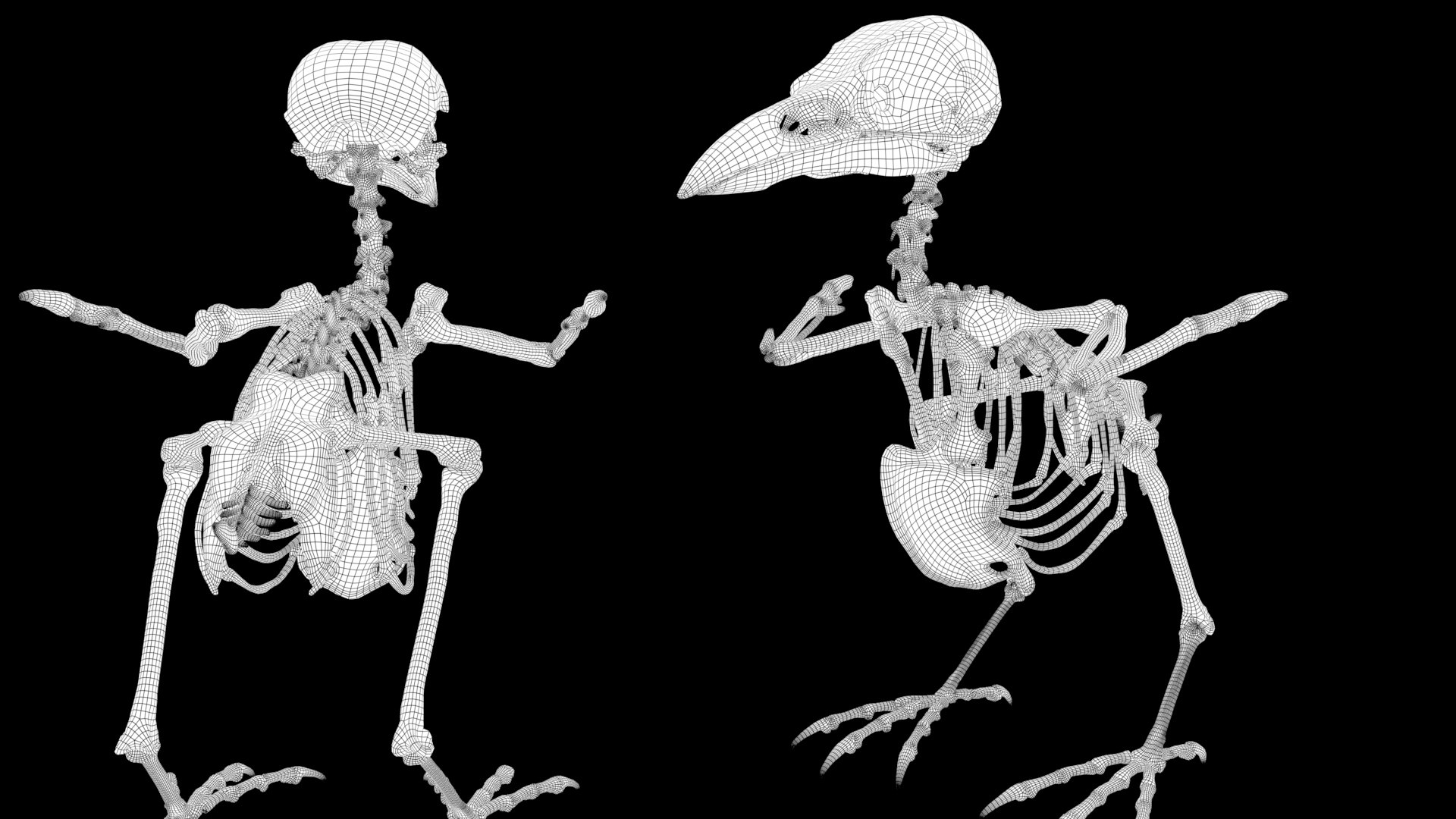 Raven skeleton model - TurboSquid 1580846