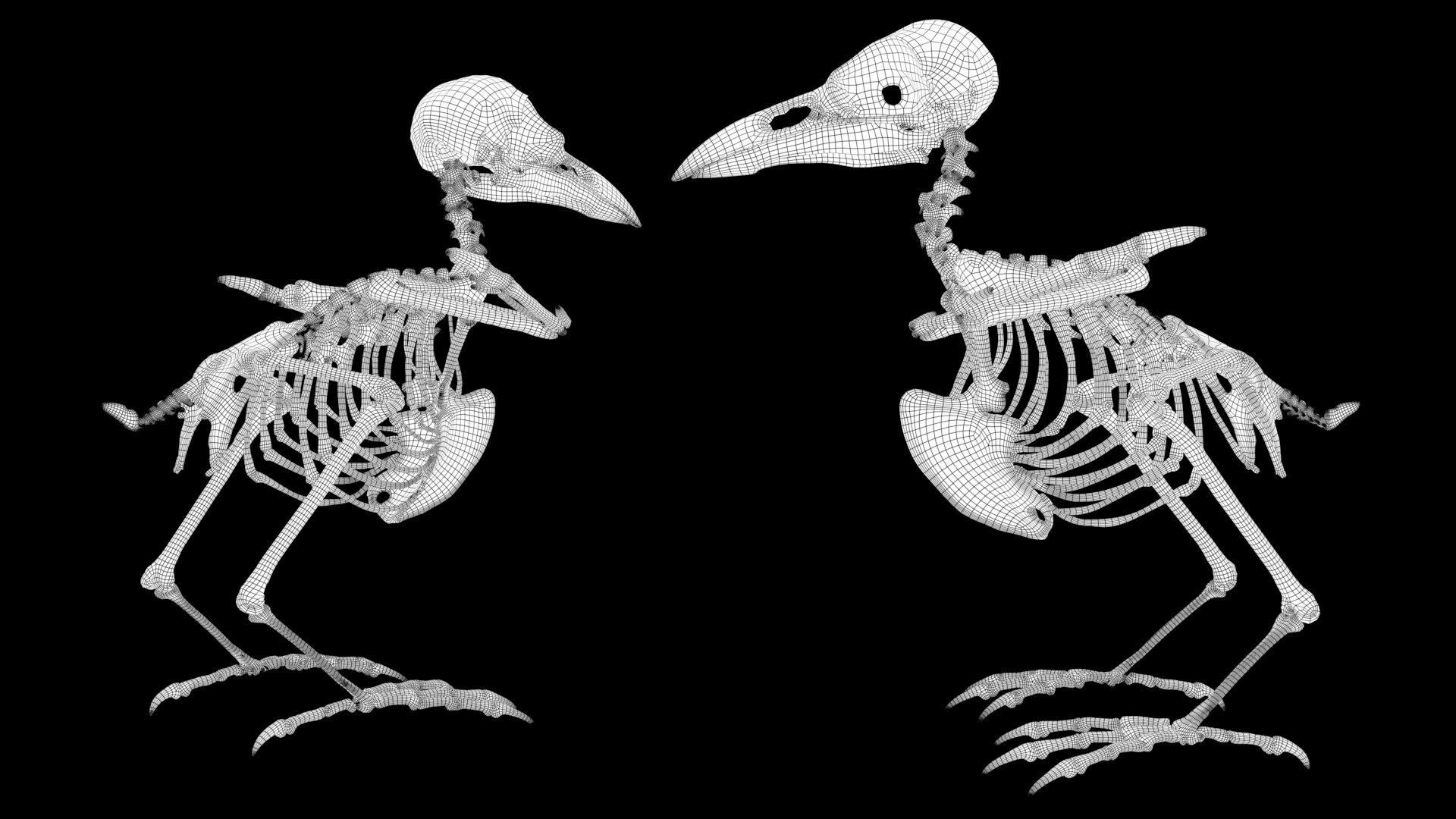Raven skeleton model - TurboSquid 1580846