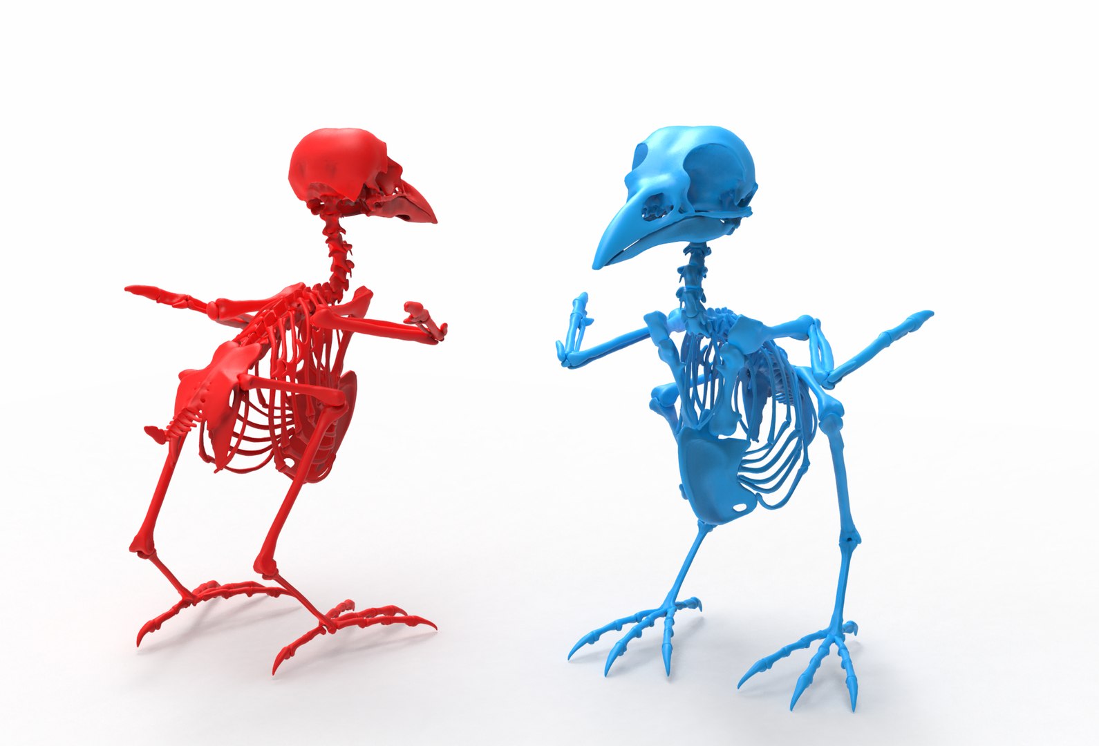 Raven Skeleton Model - TurboSquid 1580846