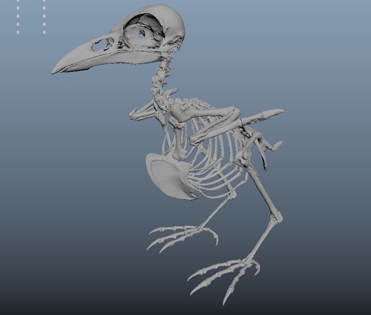 Raven Skeleton Model - TurboSquid 1580846