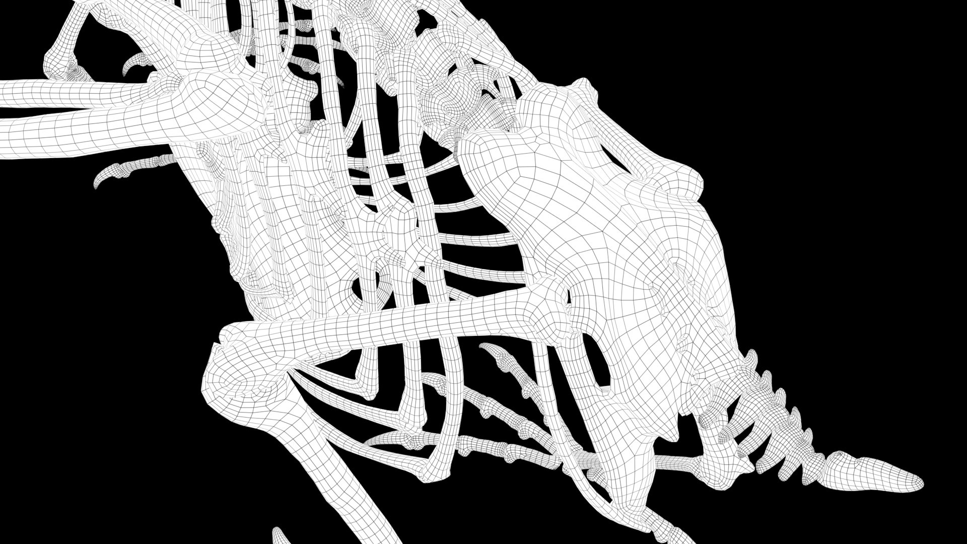 Raven skeleton model - TurboSquid 1580846