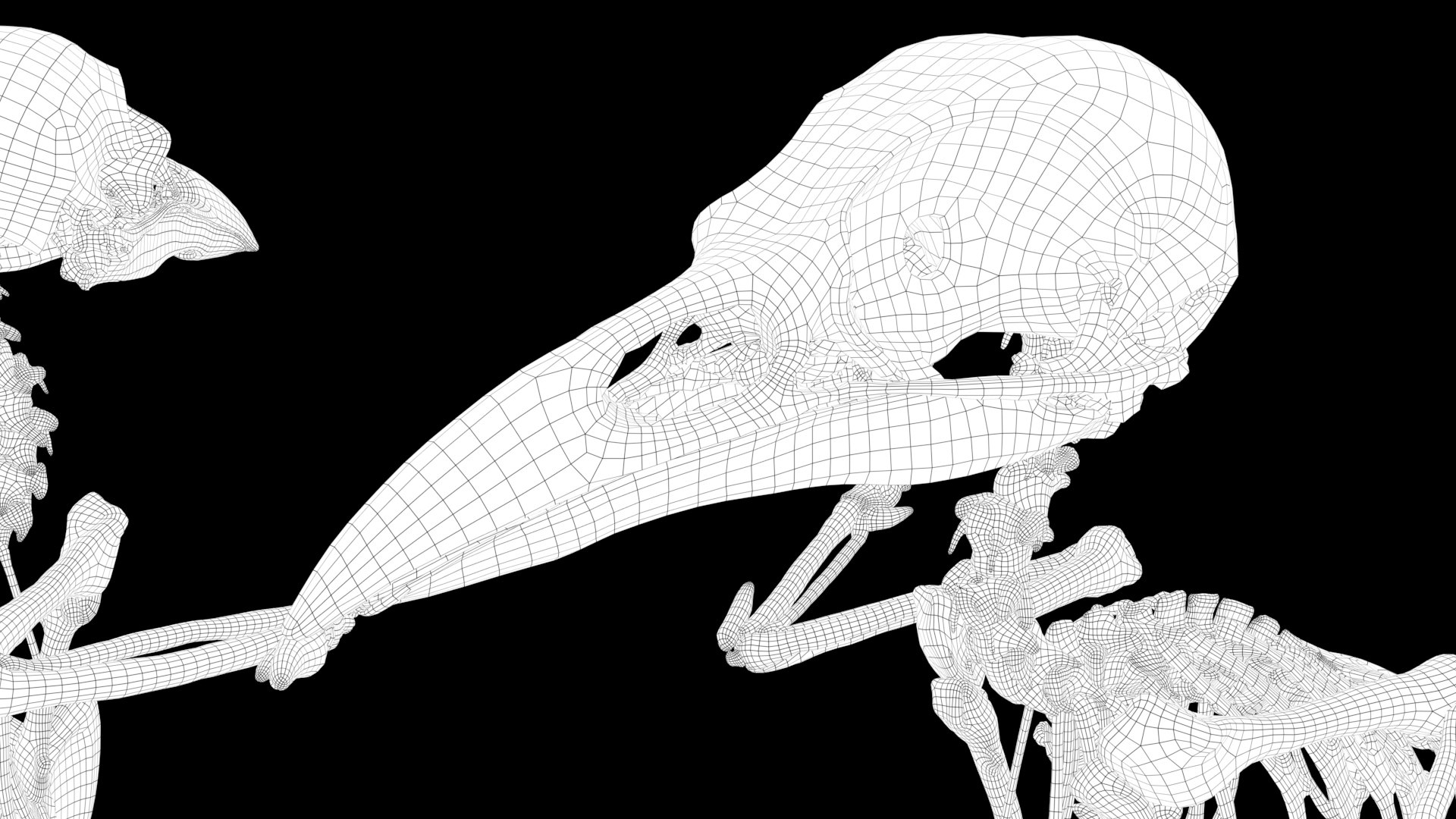 Raven Skeleton Model - TurboSquid 1580846