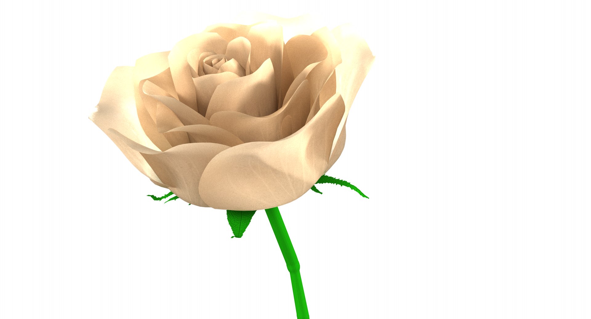 3D White Rose Model - TurboSquid 2167186