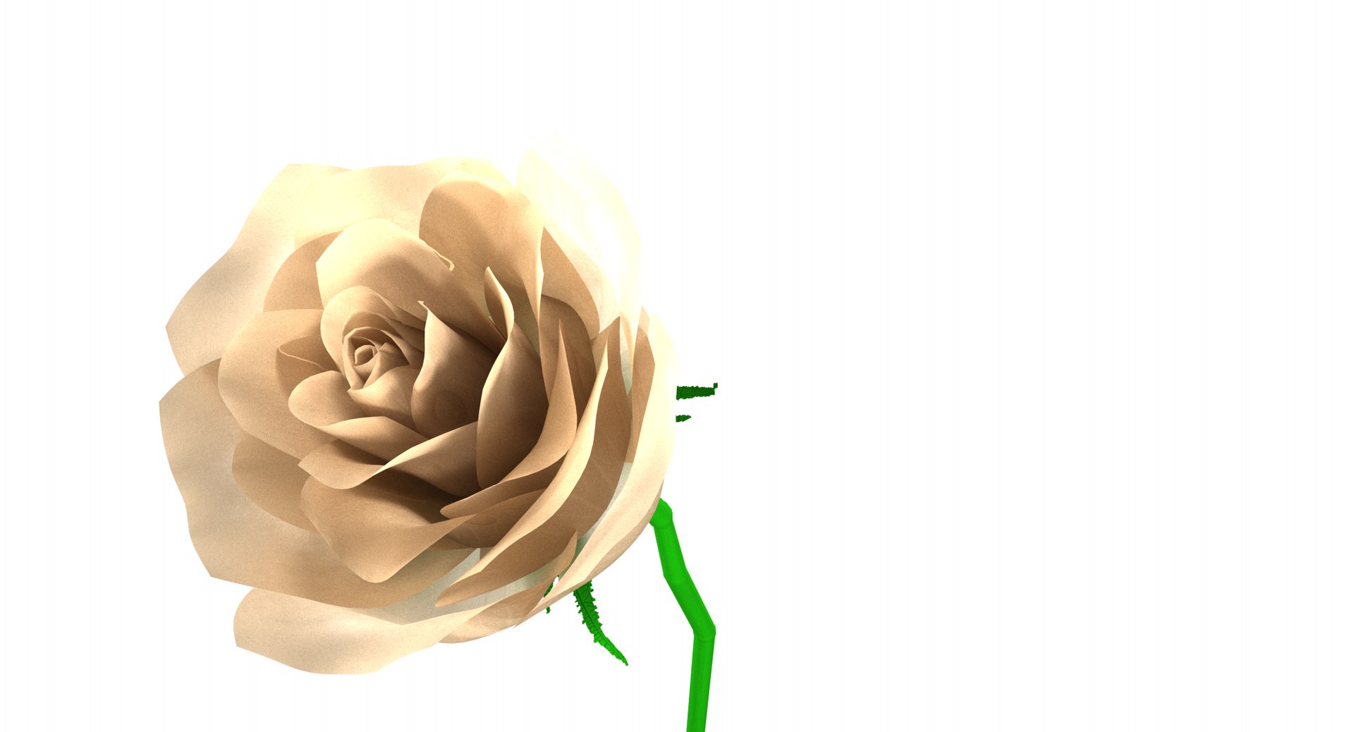 3D White Rose Model - TurboSquid 2167186