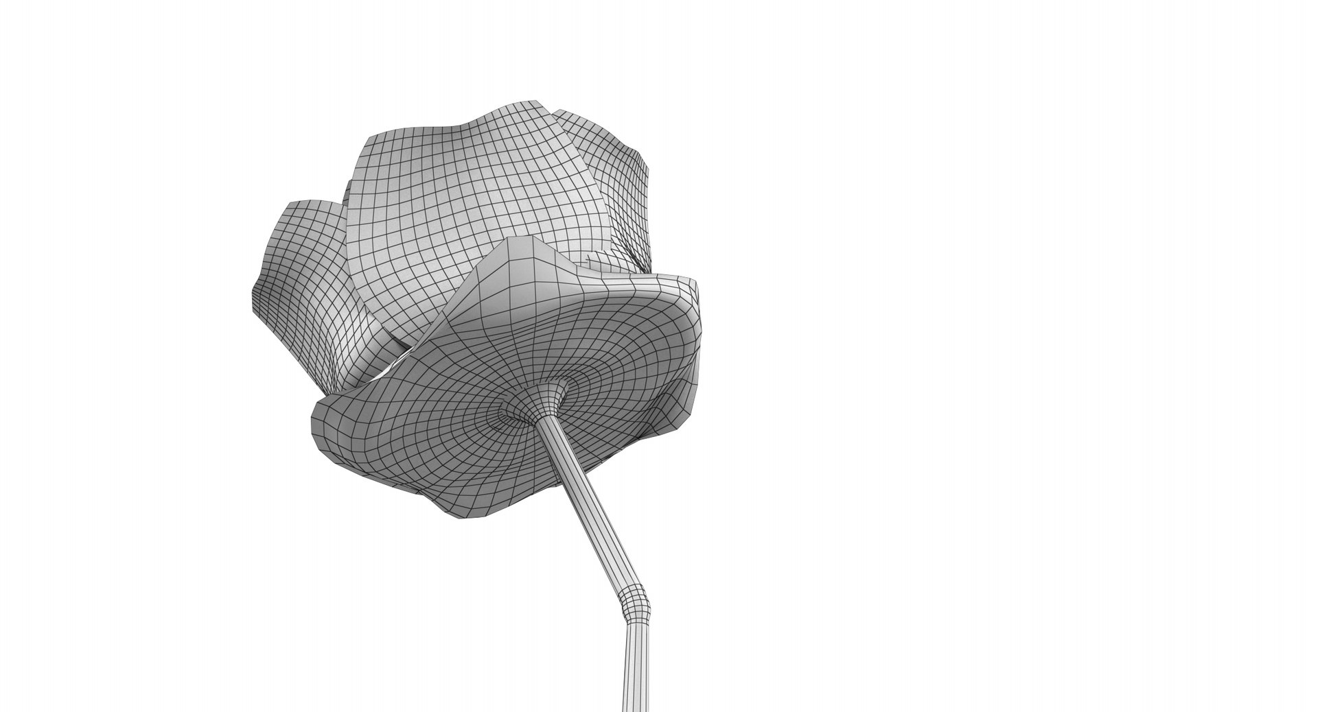 3D White Rose Model - TurboSquid 2167186