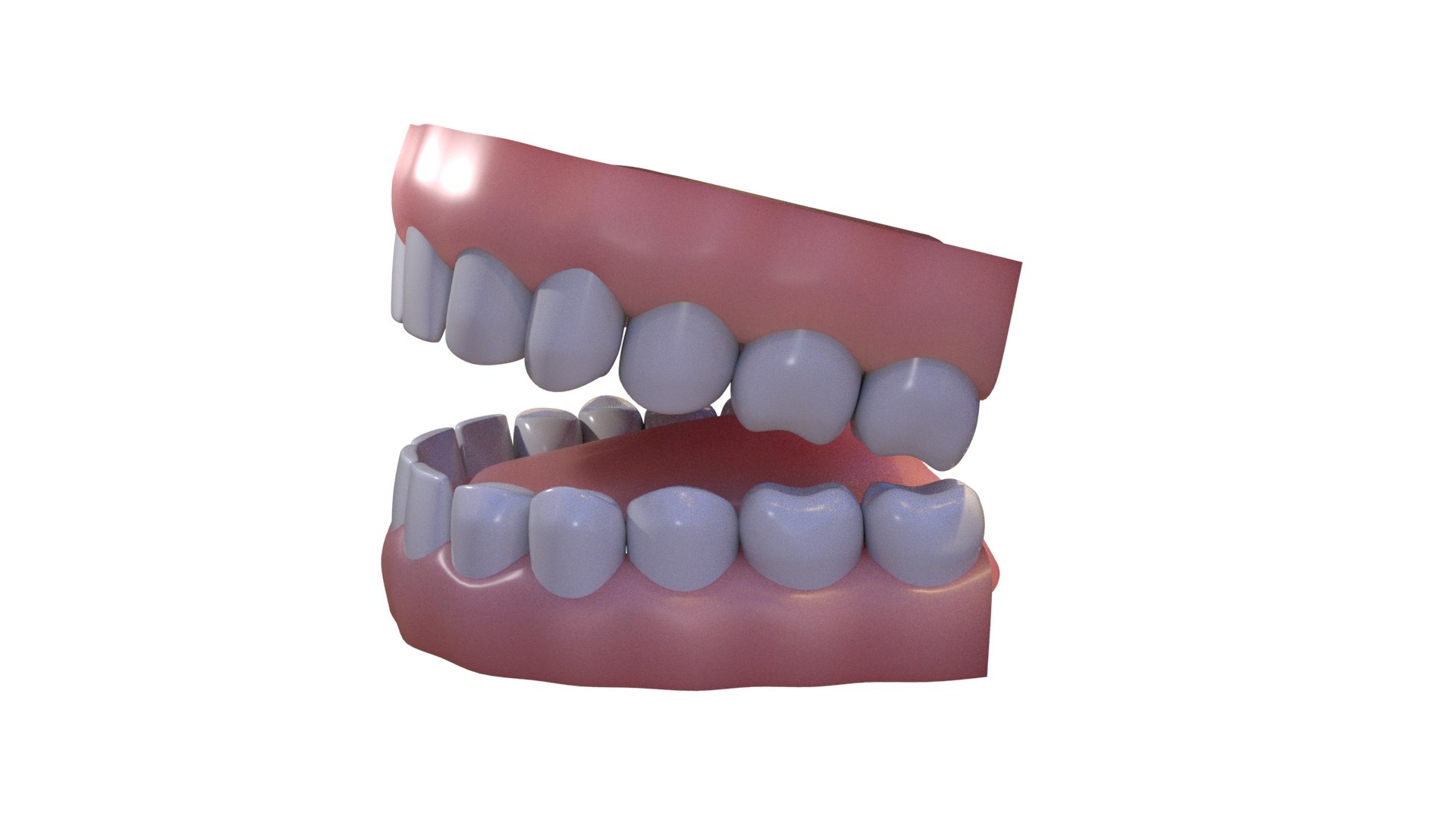 Stylized Human Teeth Model - TurboSquid 1708158