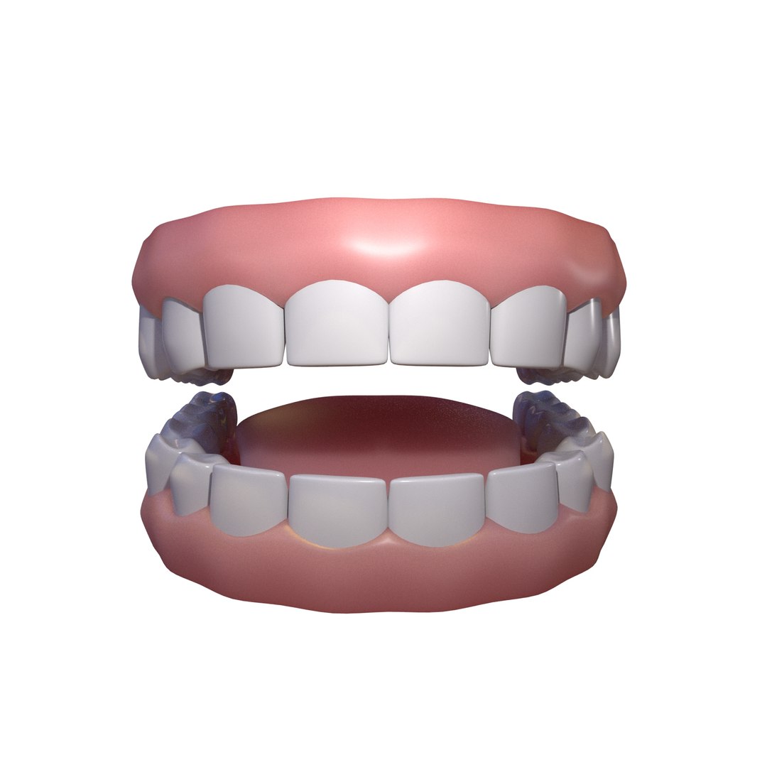 Stylized Human Teeth Model - TurboSquid 1708158