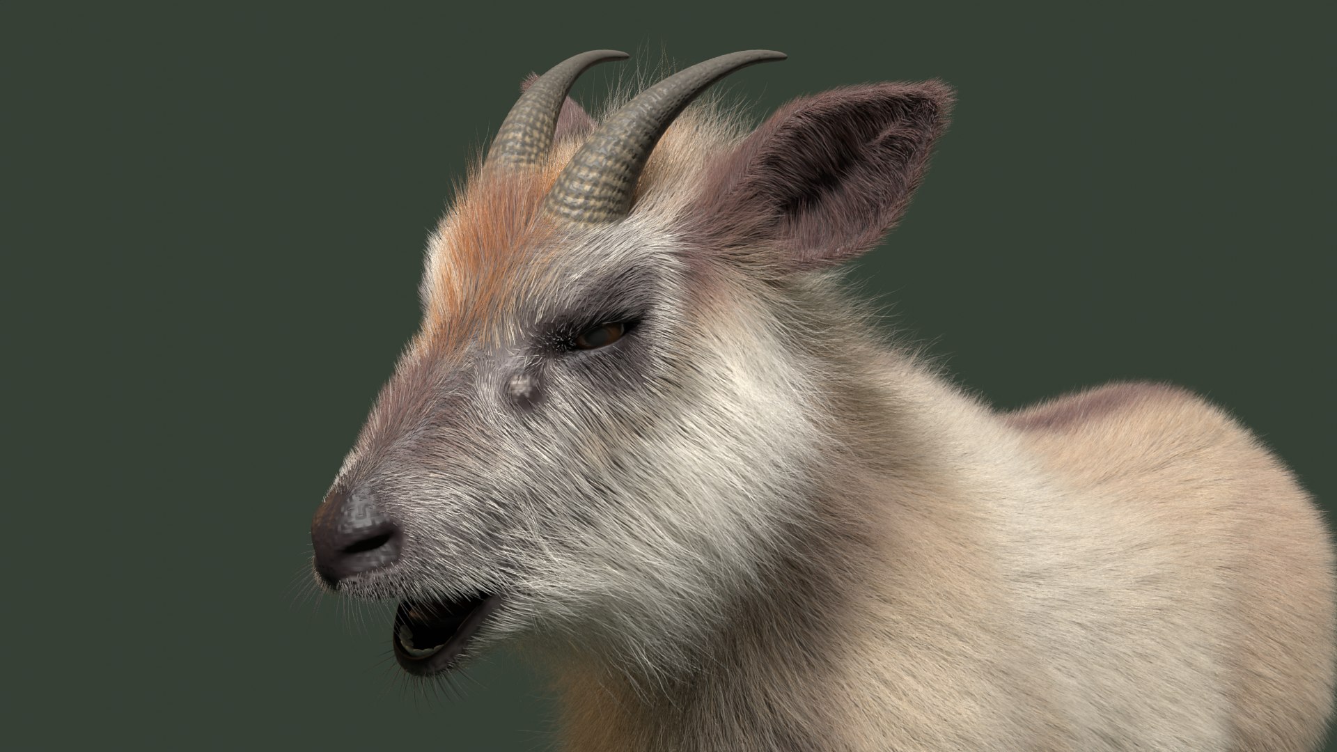 3D Serow - TurboSquid 2095723