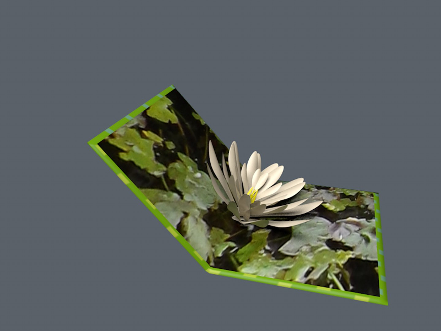 3d Model Pop Water Lilly Card