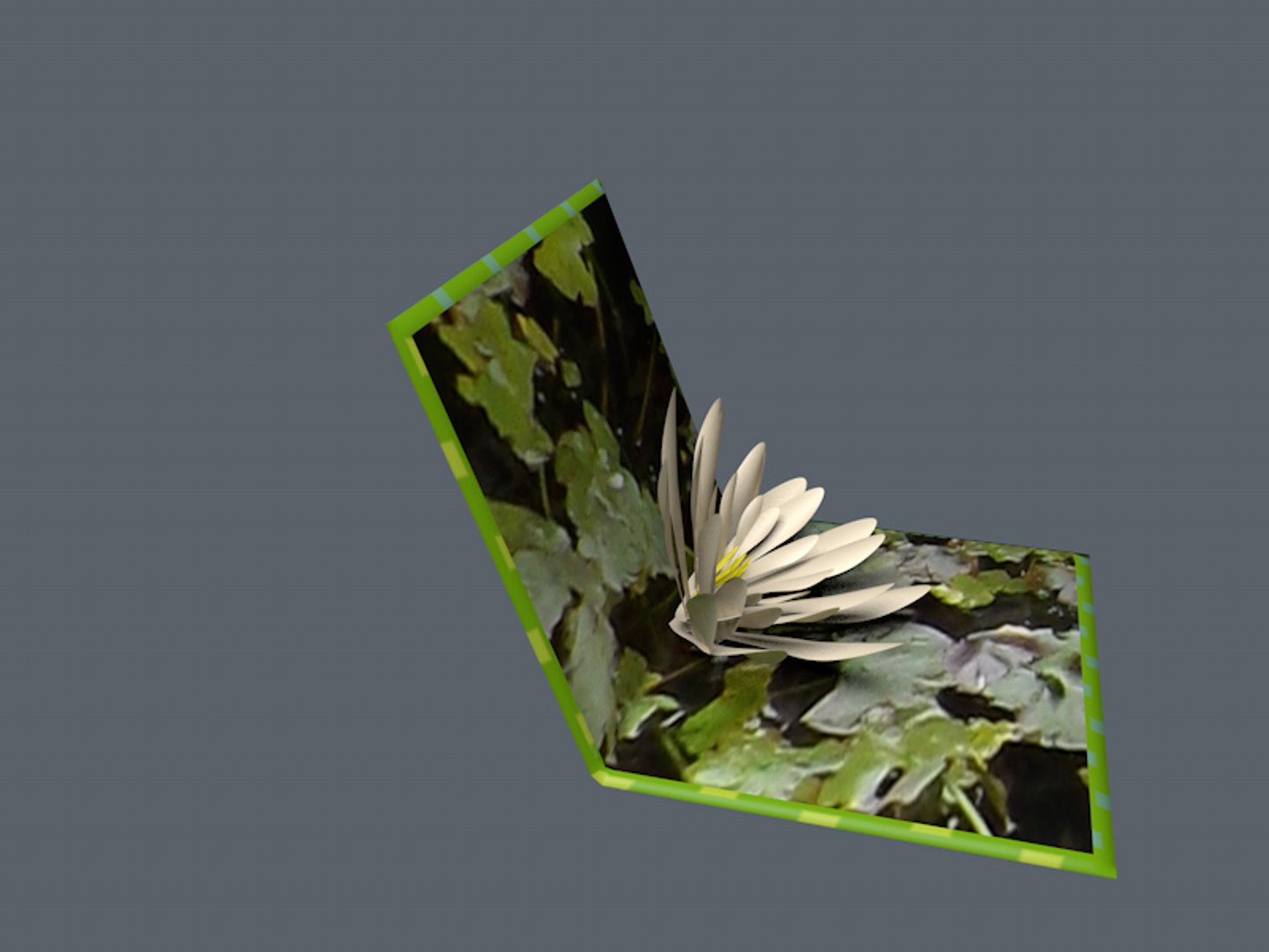 3d Model Pop Water Lilly Card