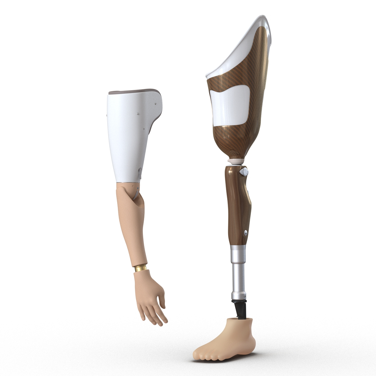 3d prosthetic leg arm model
