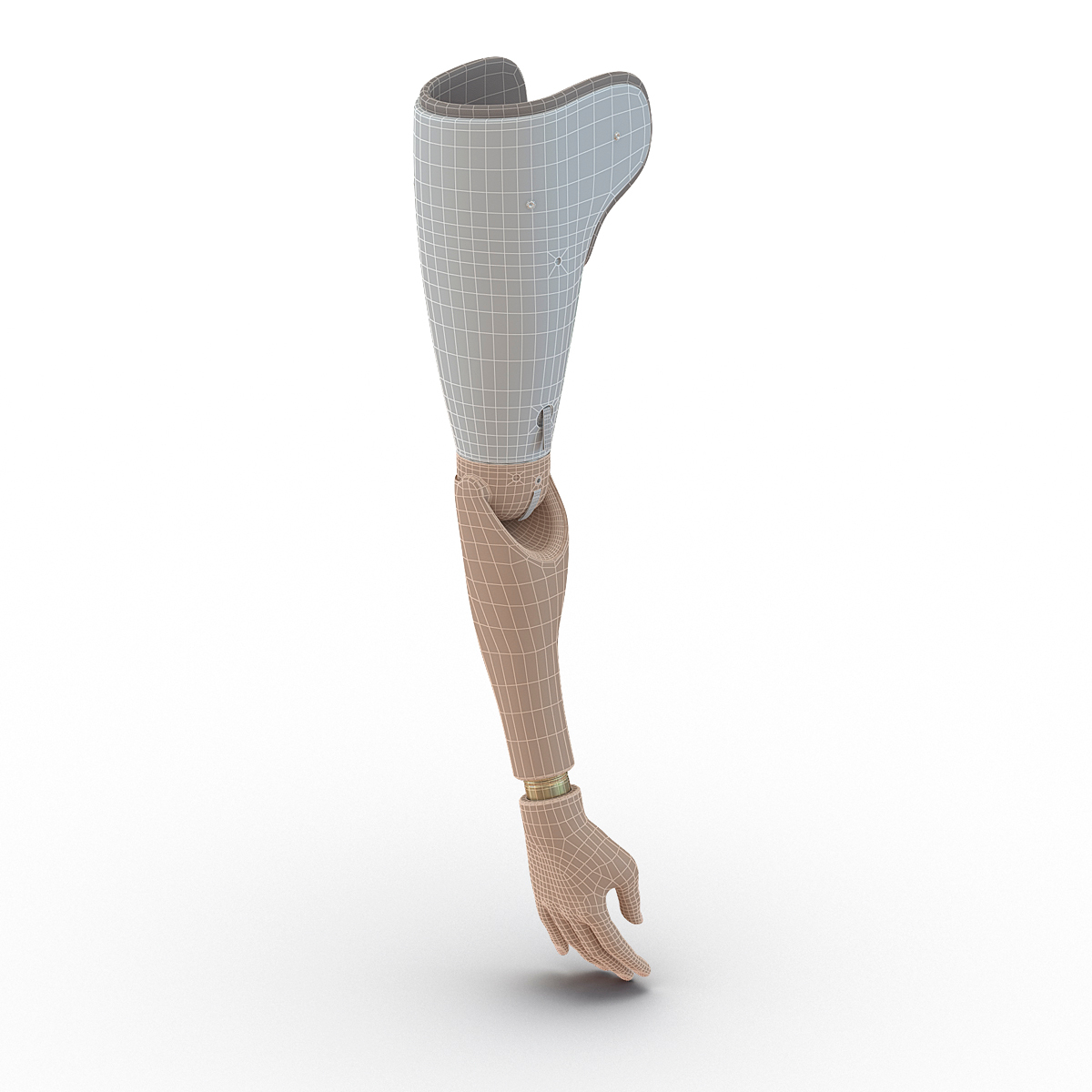 3d prosthetic leg arm model