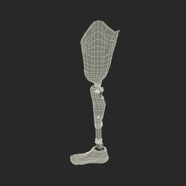 3d prosthetic leg arm model