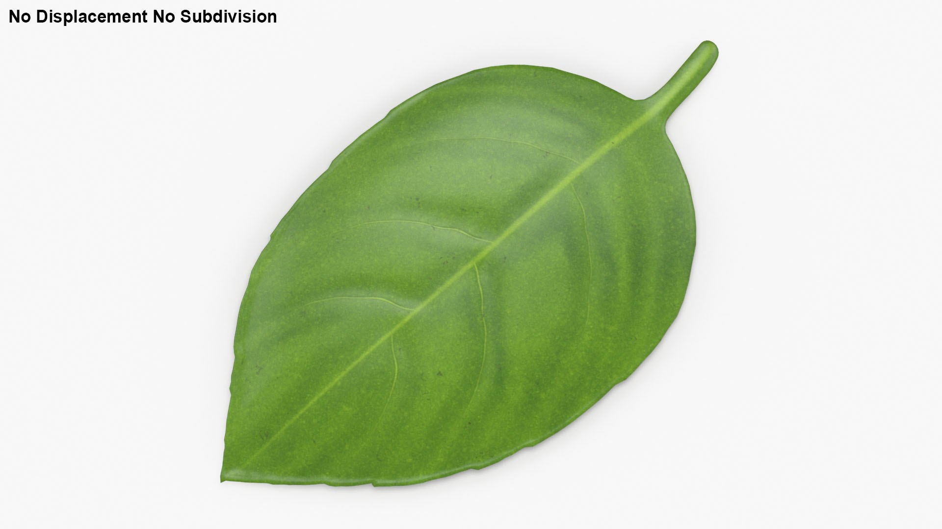 Basil Leaf 3D Model - TurboSquid 2061395