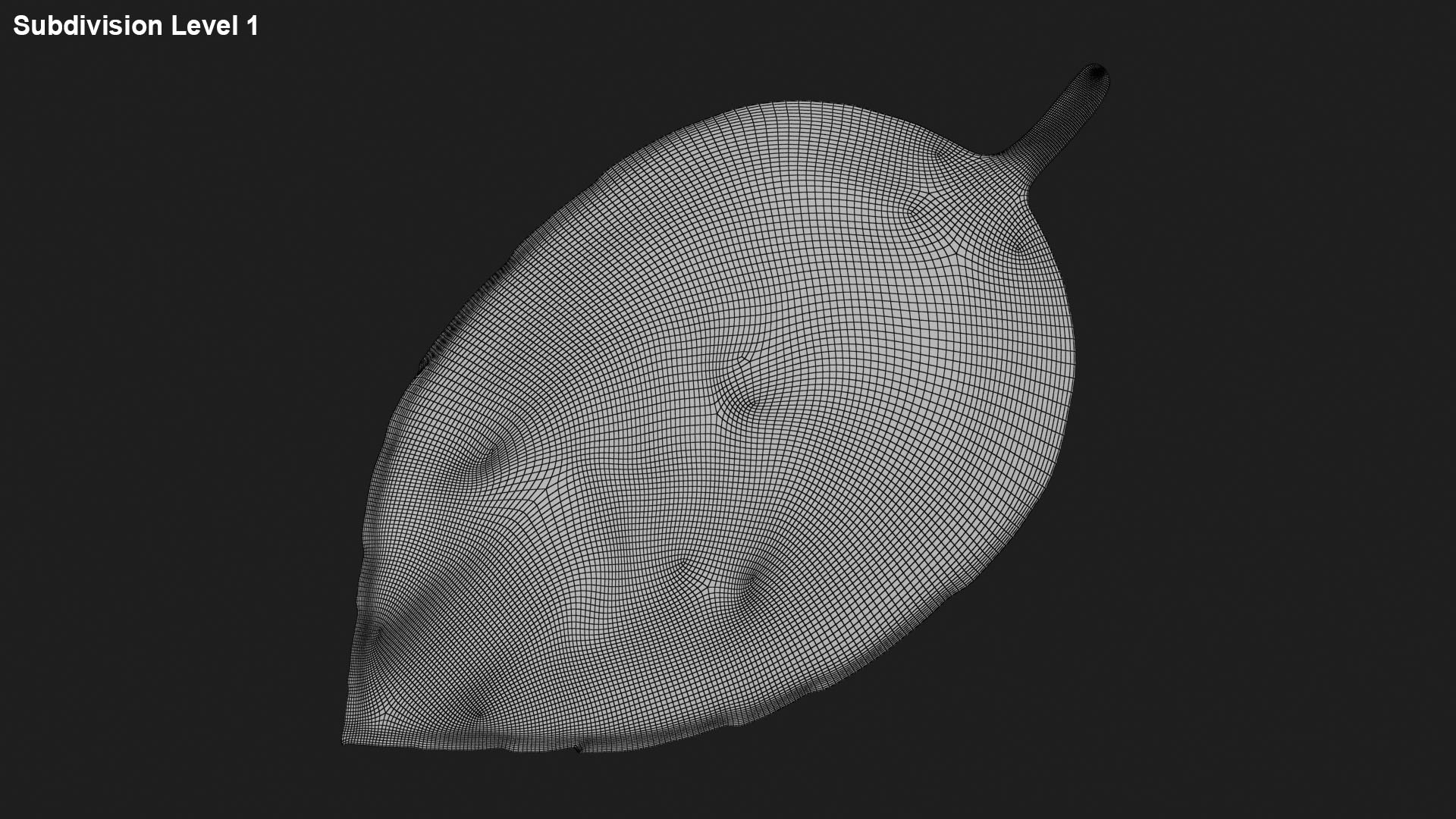 Basil Leaf 3D model - TurboSquid 2061395