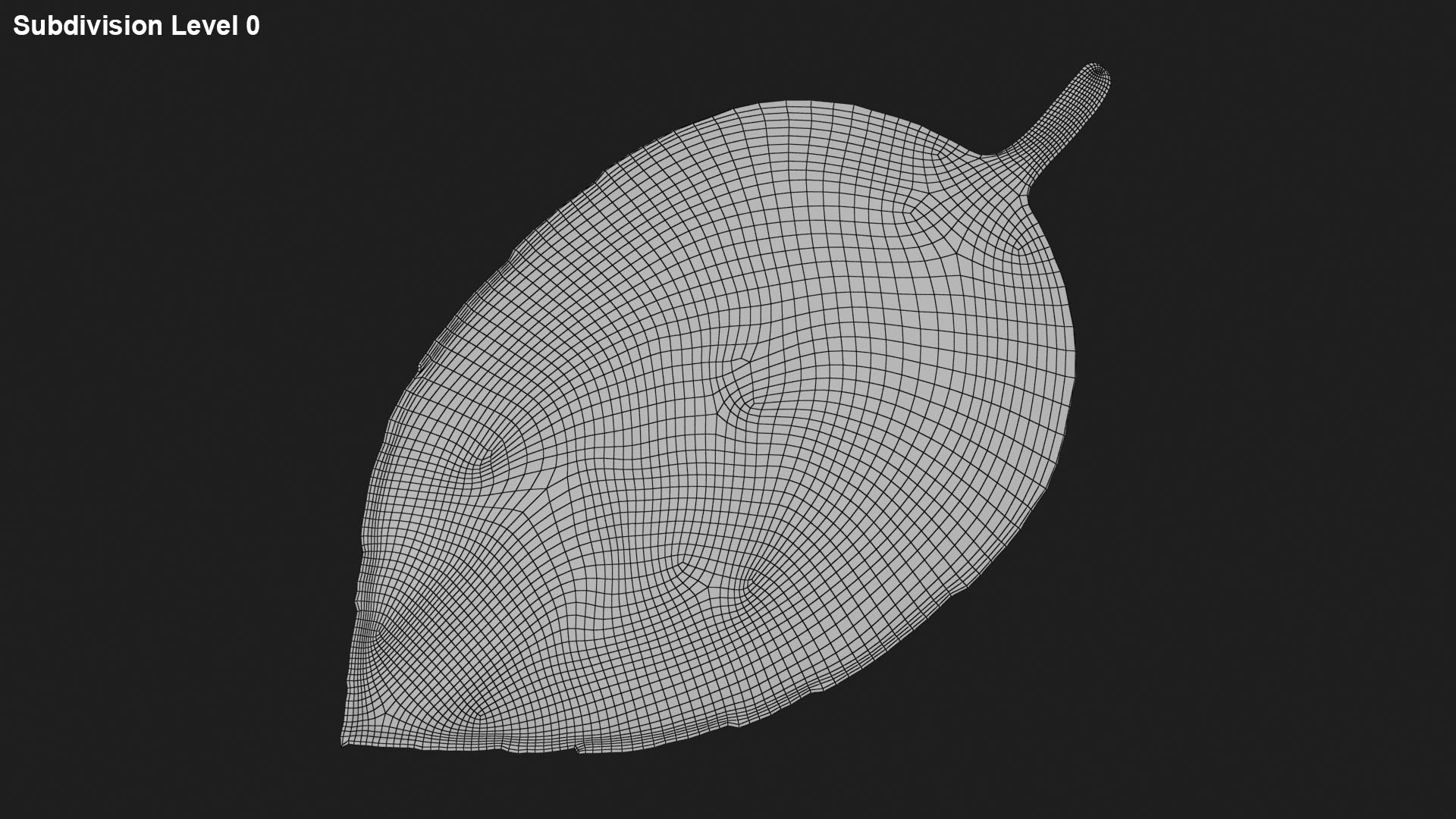 Basil Leaf 3D Model - TurboSquid 2061395