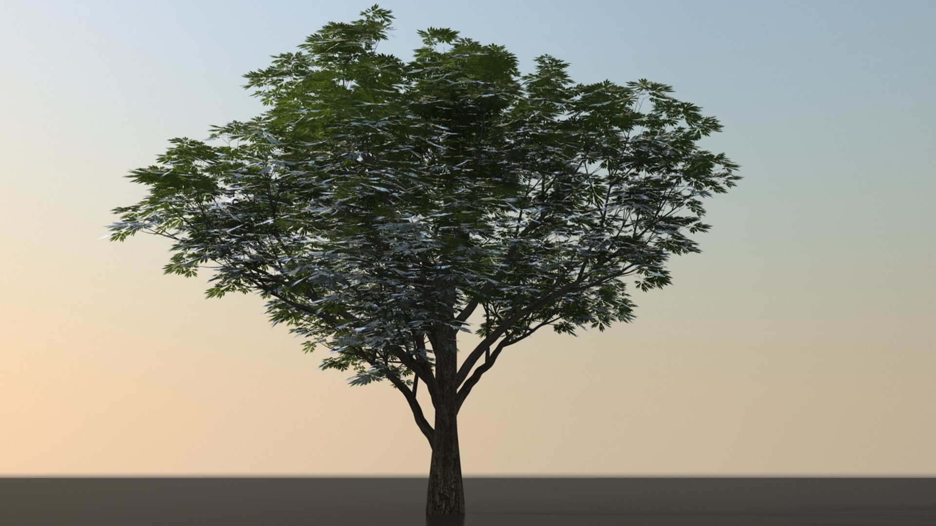 3d obj broadleaf leaf