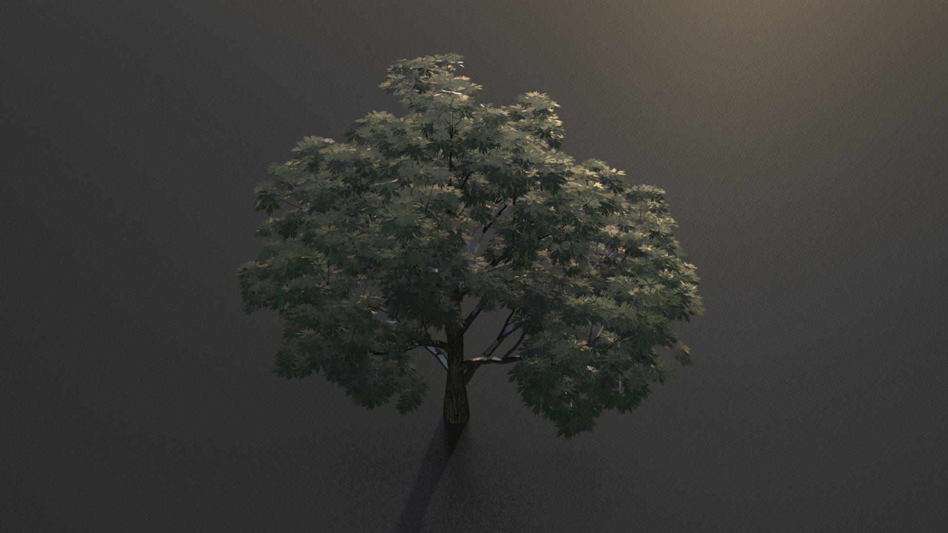 3d obj broadleaf leaf