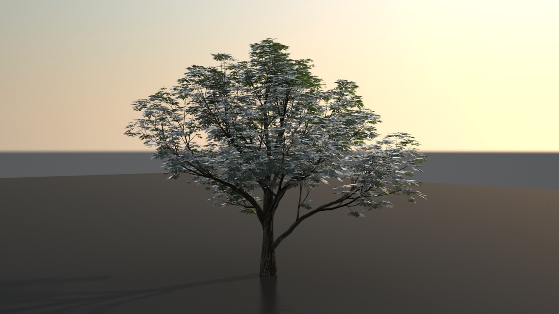 3d obj broadleaf leaf