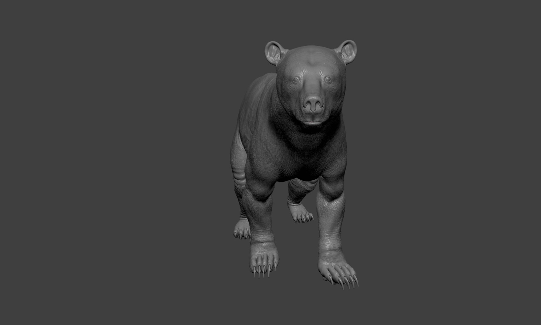 3D BrownBear Rigged Blender Model - TurboSquid 2486685