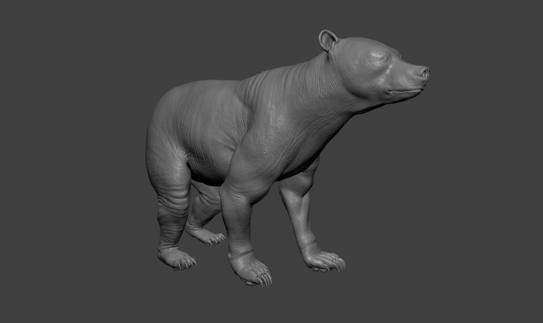 3D BrownBear Rigged Blender Model - TurboSquid 2486685
