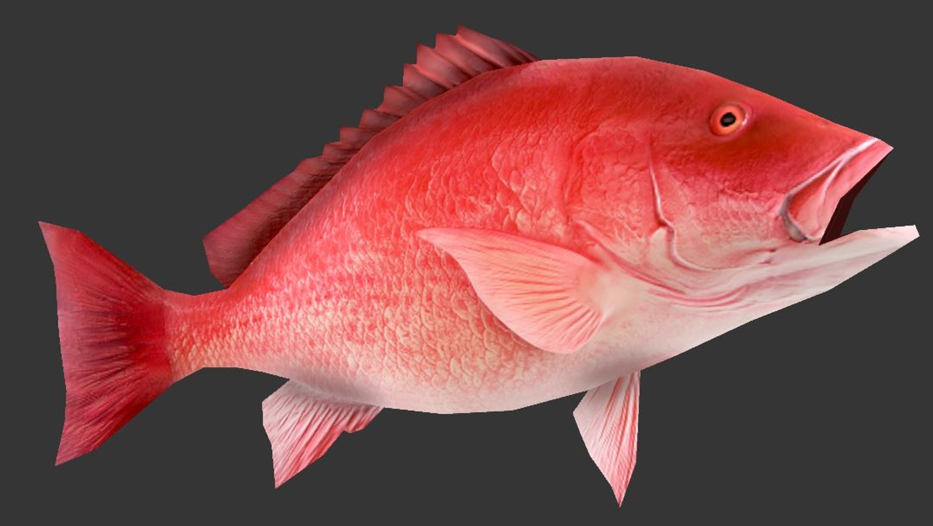 Red snapper 3D model - TurboSquid 1416077