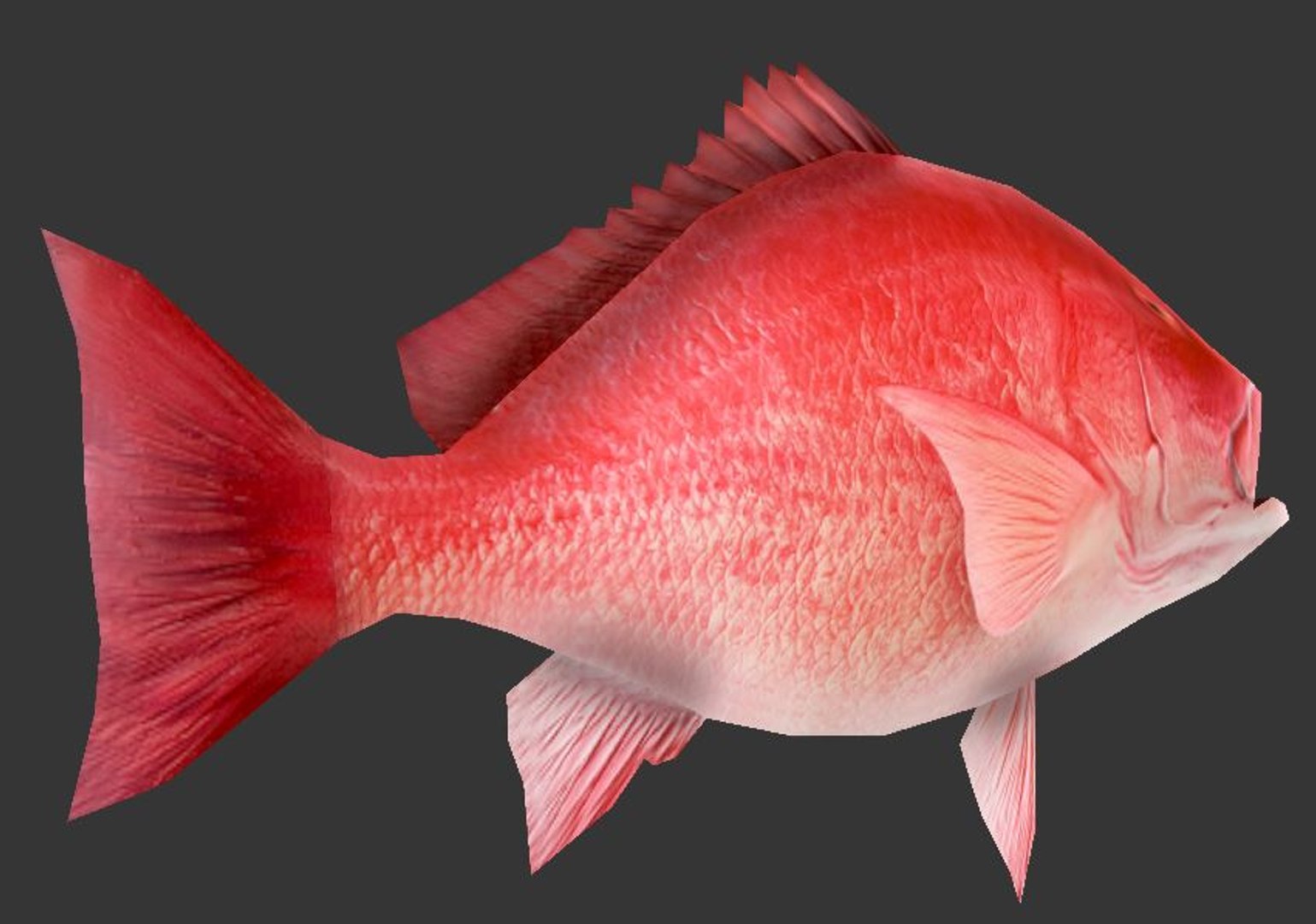 Red snapper 3D model - TurboSquid 1416077