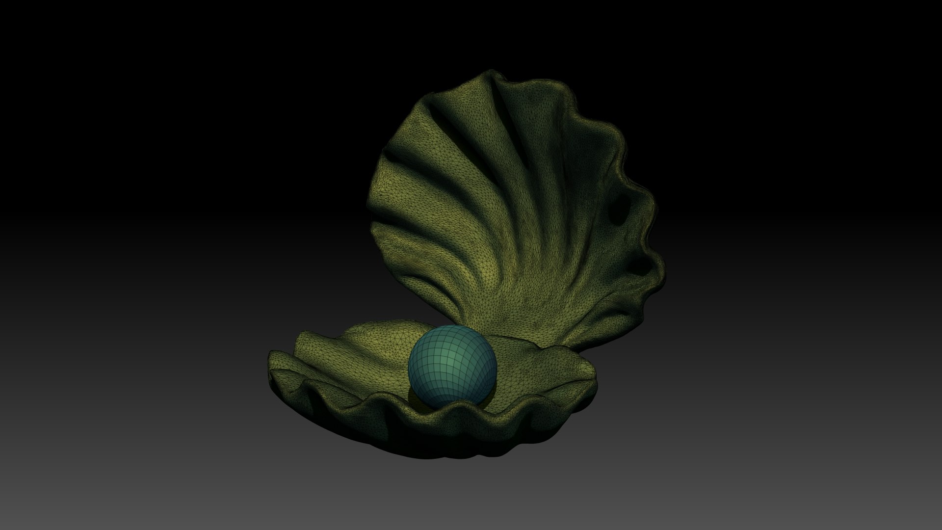 3D model shell - TurboSquid 1857627