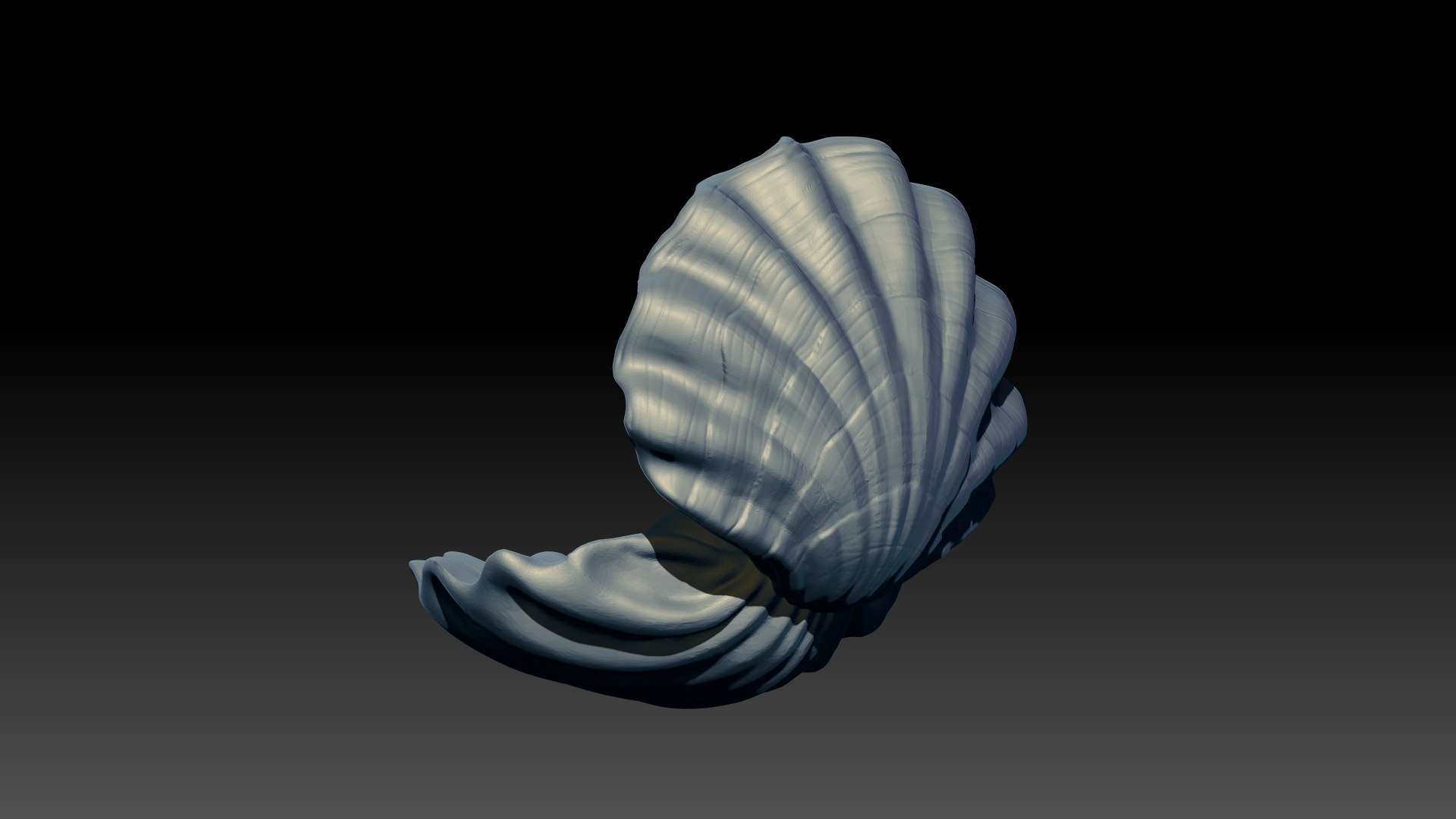 3D model shell - TurboSquid 1857627