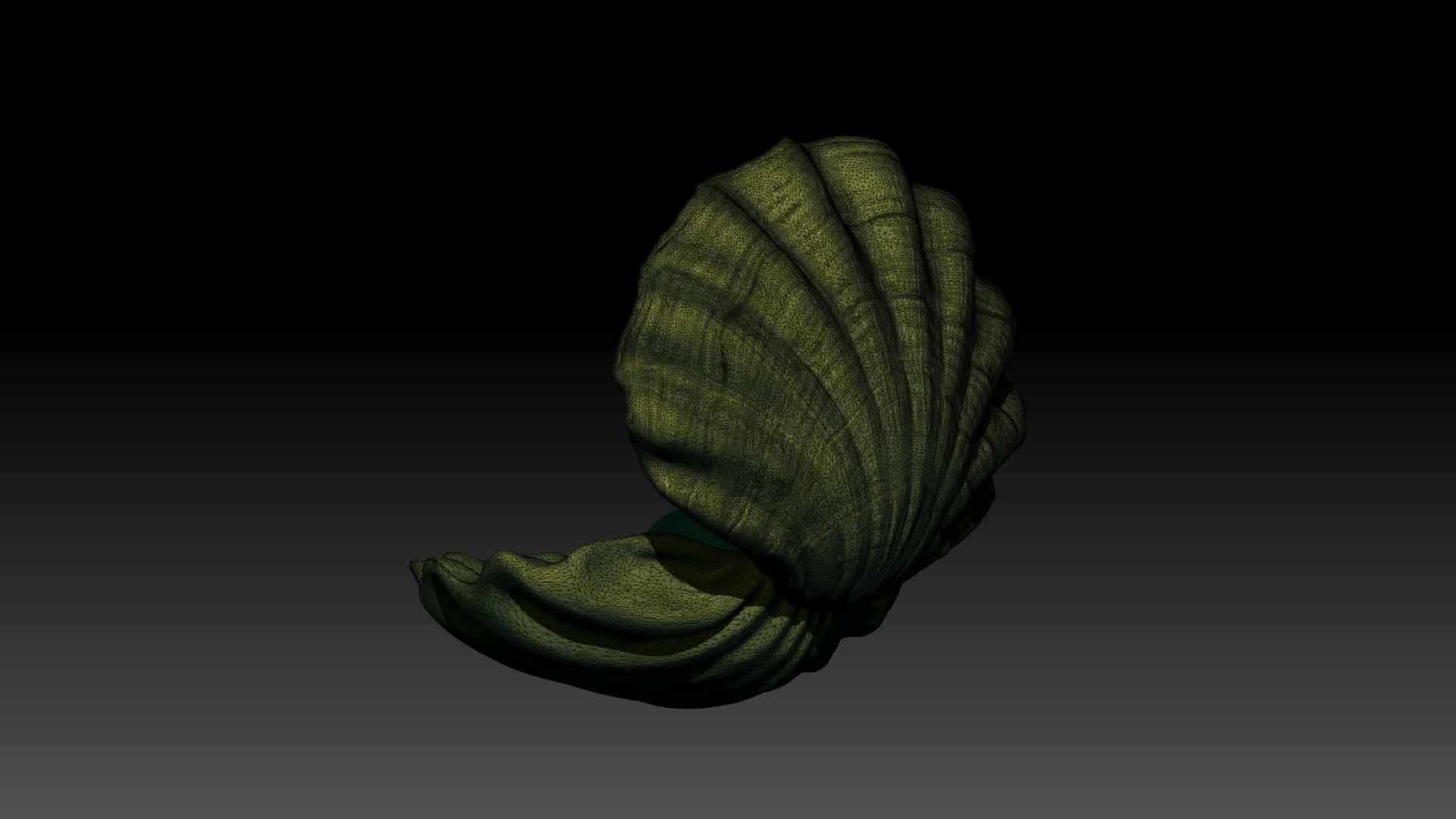 3D model shell - TurboSquid 1857627