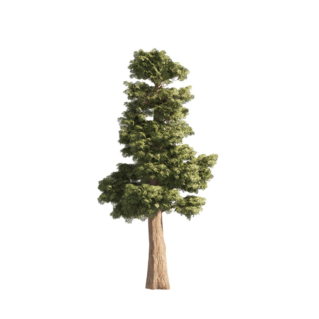 Small Redwoods Trees 3D Model - TurboSquid 1933969