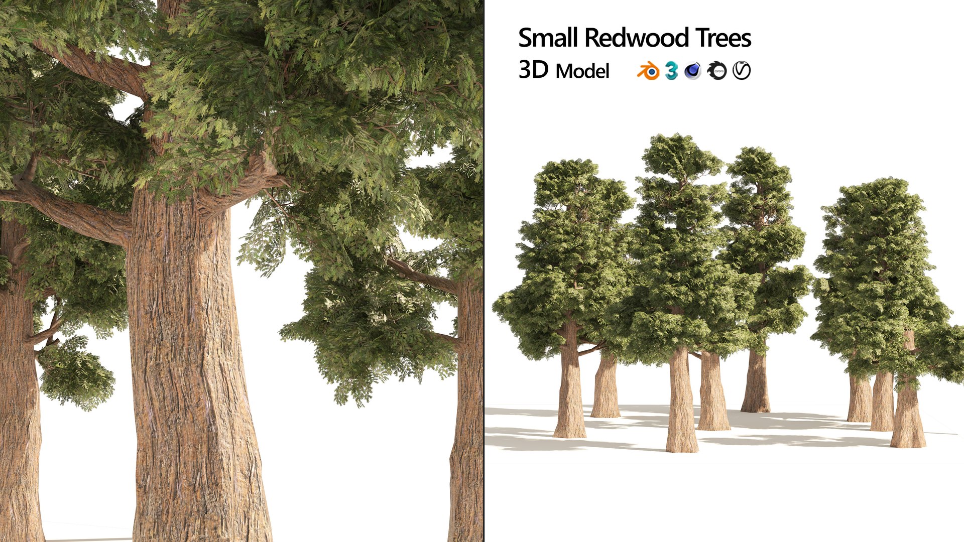 Small Redwoods Trees 3D Model - TurboSquid 1933969