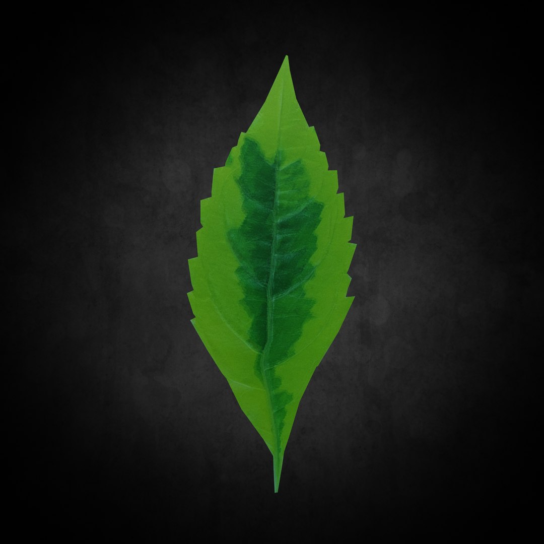 3D Low Poly Leaf 072 - TurboSquid 1852527