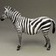 3d Model Zebra Modelled