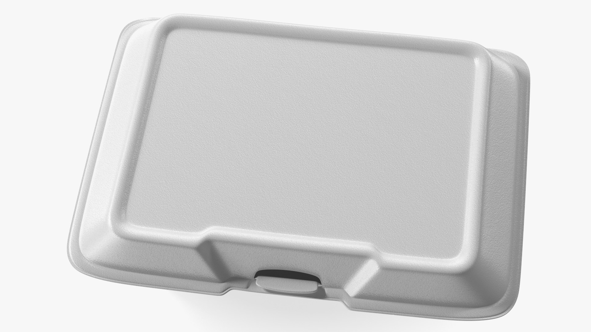 3D Disposable Food Tray Closed model - TurboSquid 1942062