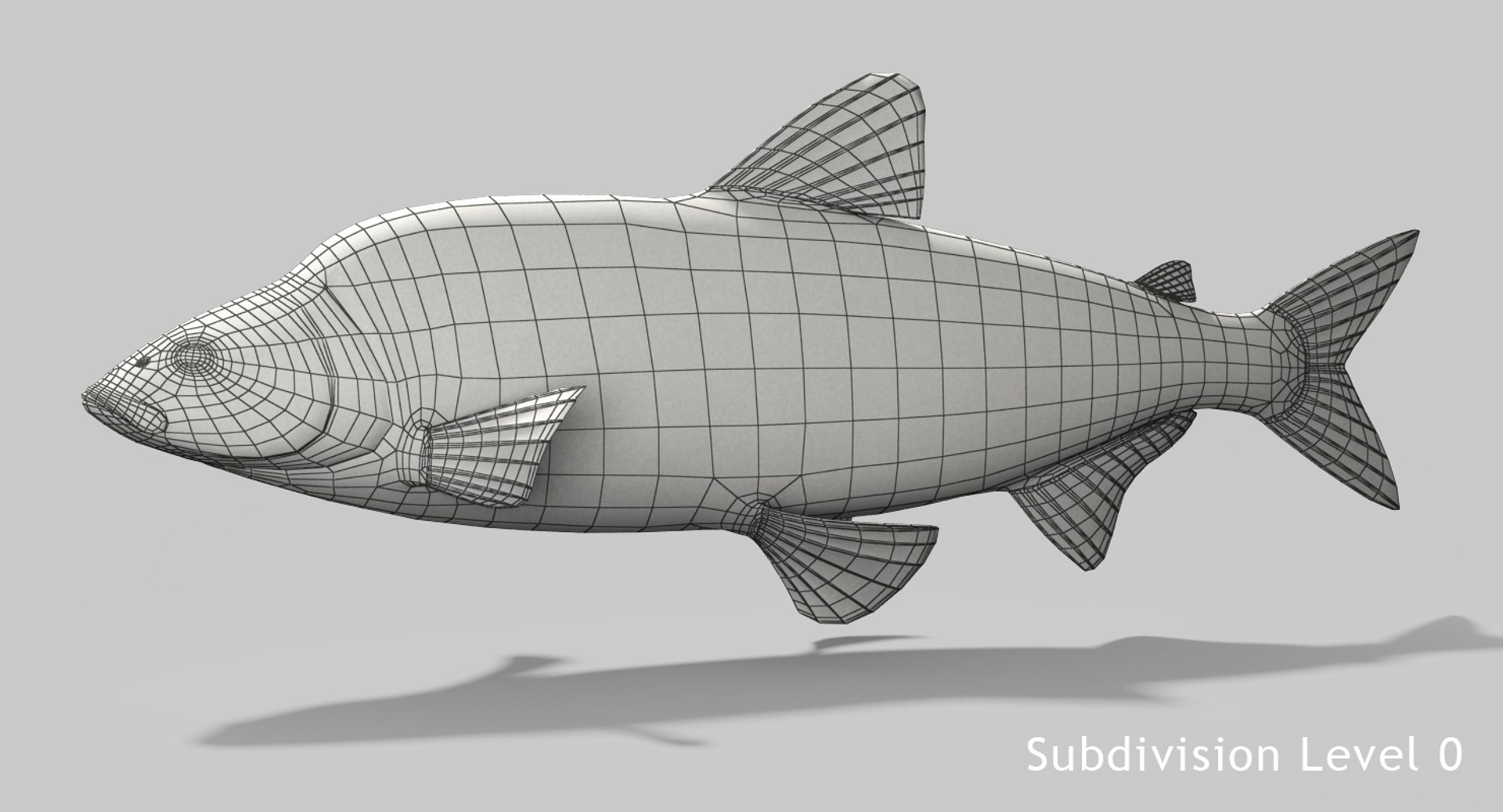 Muksun Fish Animation Max